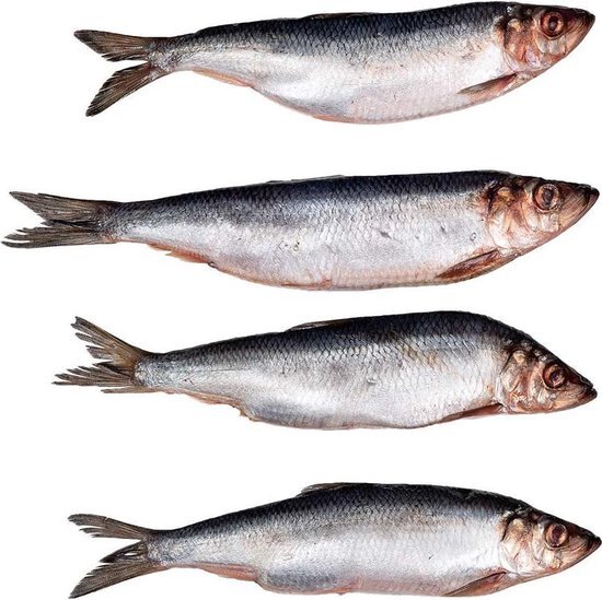 Prebaits diepvries visjes :: Girisport